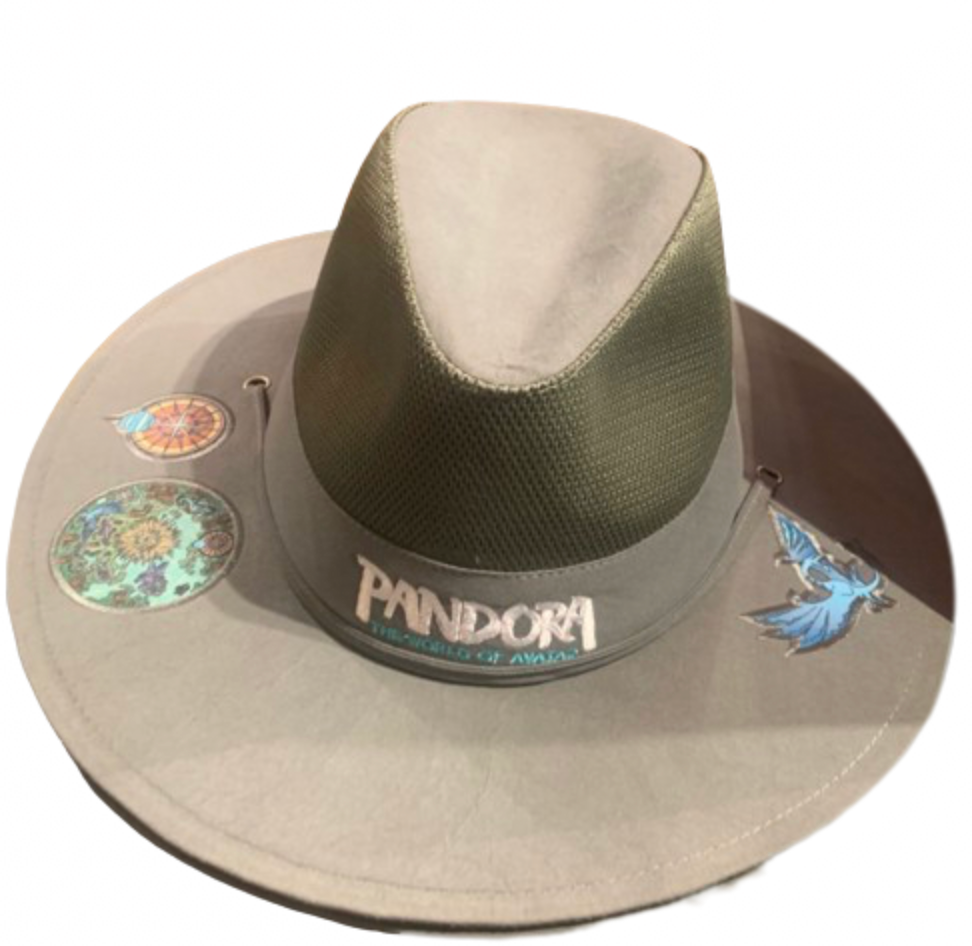 Disney Parks The World of Avatar Pandora Men Hat New With Tag – I Love ...